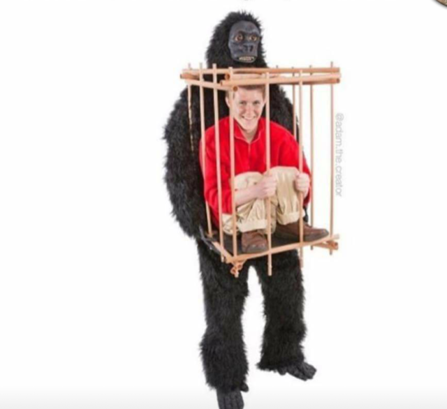 10 Hilarious Halloween Costume Ideas – Triton Times